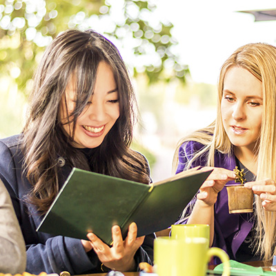 Menu Optimization – Decision Insight